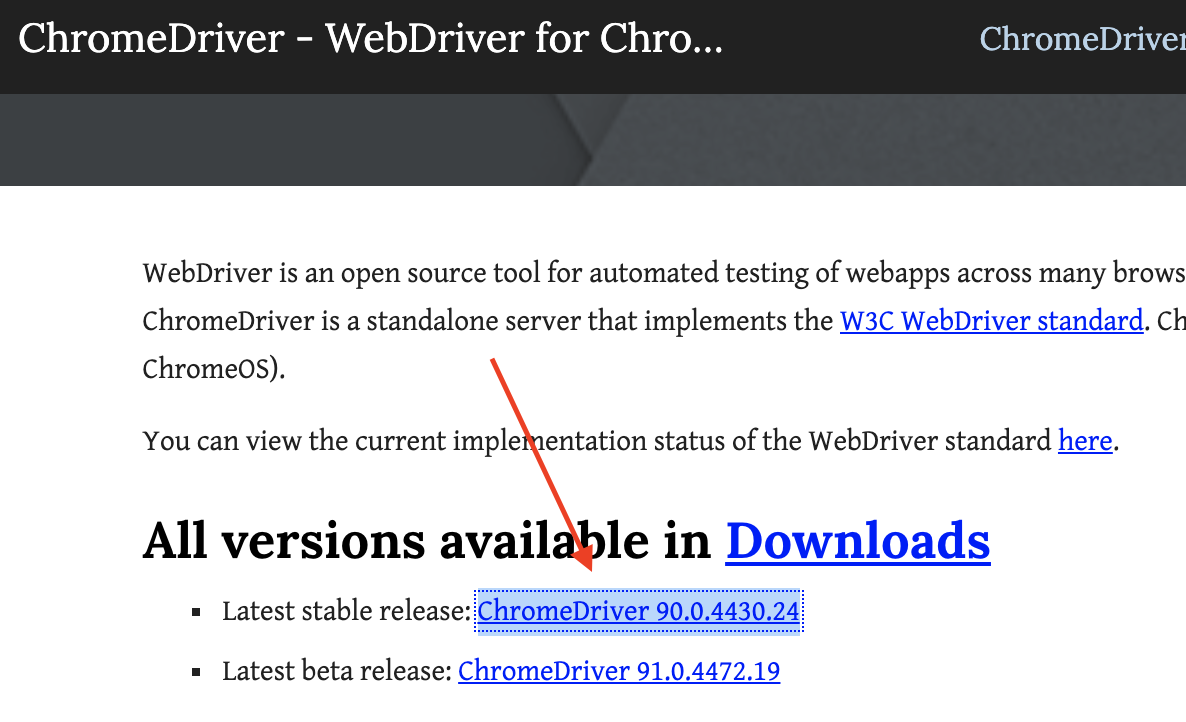 Selenium Software Requirements - Skill2Lead.com